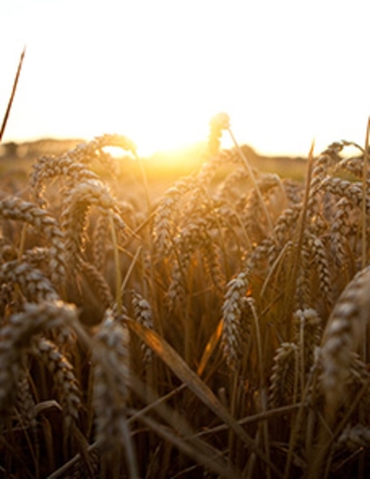 In Loving Memory of Gentry Lane Smith - Obituaries & Ways to Support ...