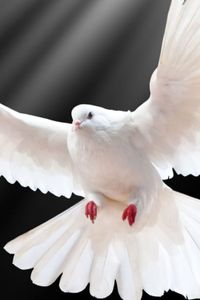 In Loving Memory of Timothy Carson Williams - Obituaries & Ways to ...