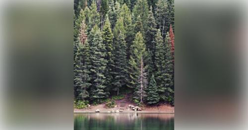 In Loving Memory of Michael Alan Jacovitch - Obituaries & Ways to ...