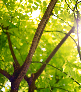 In Loving Memory of Daniel John Painter - Obituaries & Ways to Support ...