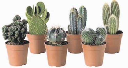 In Loving Memory of Graham Wright - Obituaries & Ways to Support the Family