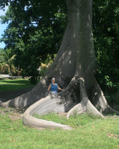 In Loving Memory of Patricia Ann Shevlin - Obituaries & Ways to Support ...