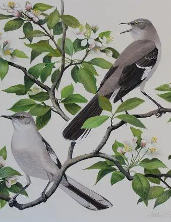 In Loving Memory of Edmond Lowell Friel - Obituaries & Ways to Support ...