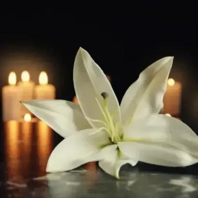 In Loving Memory of Robert Louis Grillo - Obituaries & Ways to Support ...