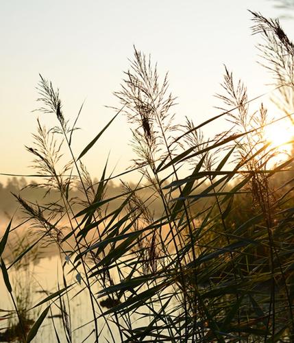 In Loving Memory of James Coy Anderson - Obituaries & Ways to Support ...