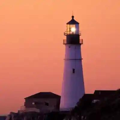 In Loving Memory of SCOTT (SCOTT) REED STARK - Obituaries & Ways to ...