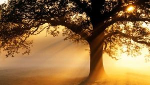 In Loving Memory of Donald Lee Taylor - Obituaries & Ways to Support ...