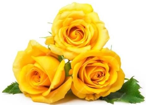 In Loving Memory of Alan Deanes - Obituaries & Ways to Support the Family