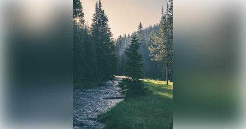 In Loving Memory of Thomas Arthur Harney - Obituaries & Ways to Support ...